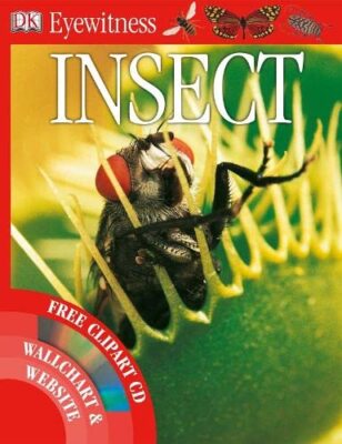 Insect (Eyewitness), DK 9781405320535 | eBay Australia