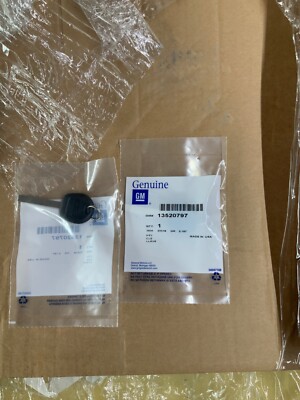 Genuine GM Door Lock and Ignition Key 13520797 | eBay