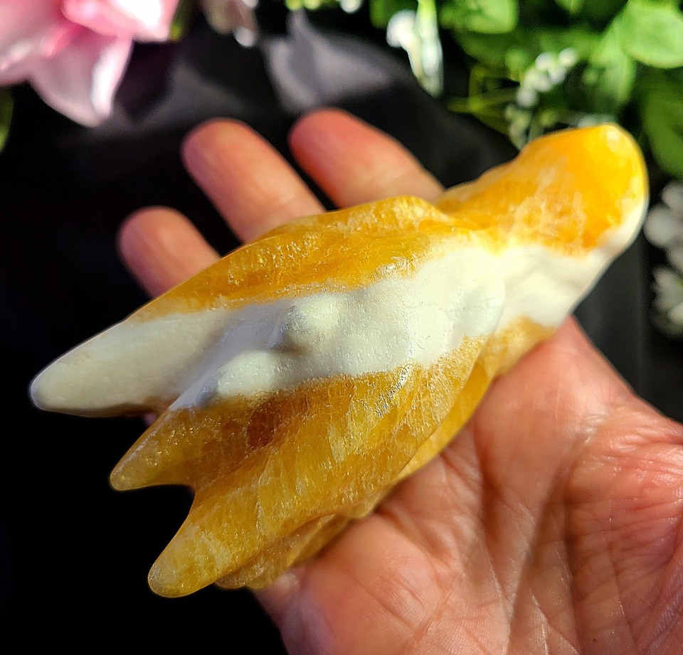 4" 244g Banded Orange Calcite Wishing Dragon Head Skull Crystal Stone ...