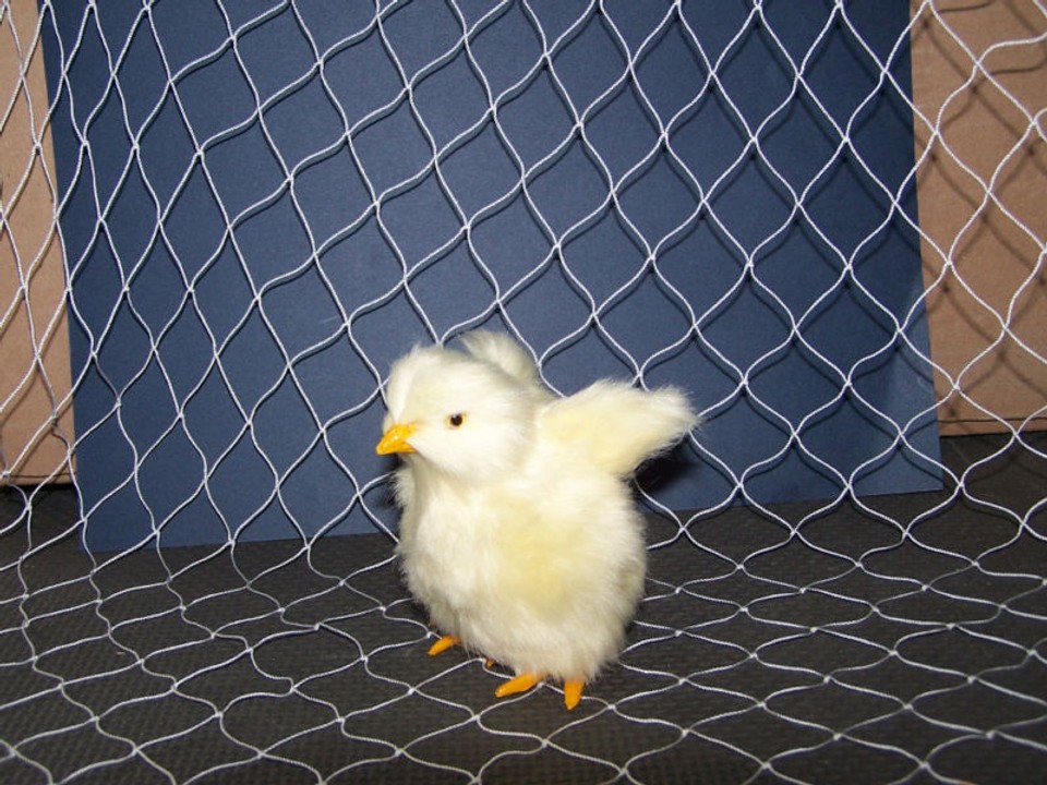 30' x 6' Game Bird Nets Poultry Pen Netting Barrier Backstop 1" #208 ...