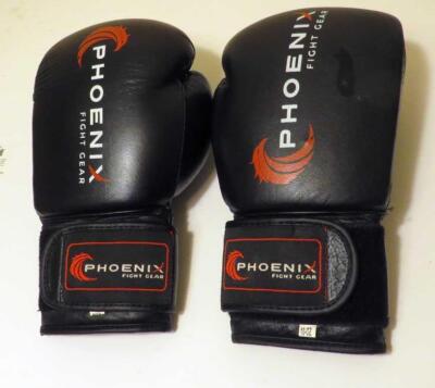 Phoenix Fight Gear Flight Boxing Gloves - Black 10 oz Unused | eBay