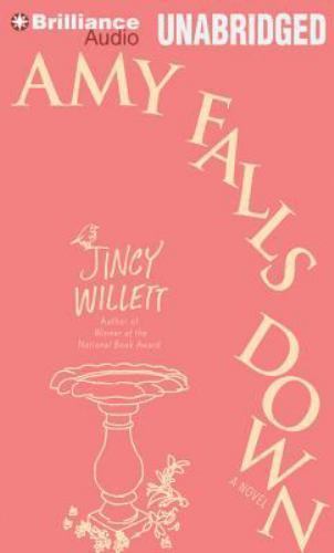 Amy Falls Down : A Novel by Jincy Willett (2014, Compact Disc ...
