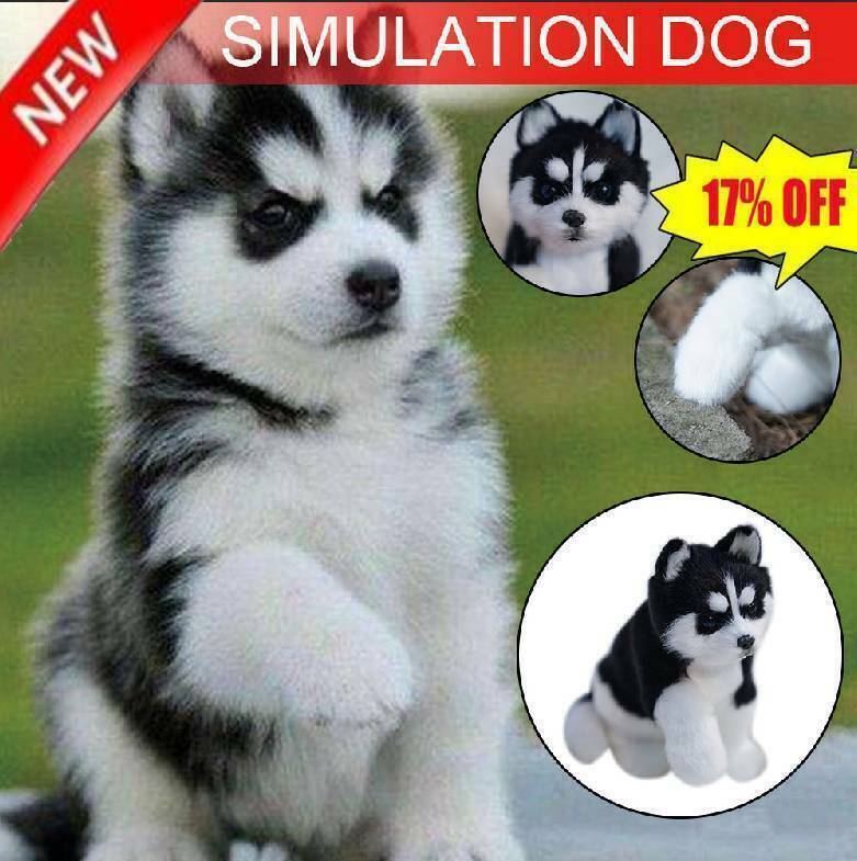 Realistic Husky Dog Simulation Toy Dog Puppy Lifelike | eBay