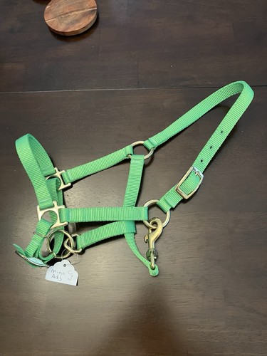 mini horse halter nylon Large Adjustable Lime Green | eBay