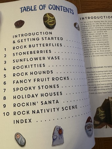 Vintage 2018 The Art Of Rock Painting Projects Techniques Paperback ...
