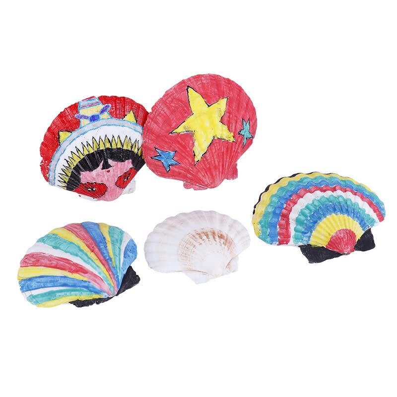 SEAJIAYI 30 pcs 2-3 inch Natural Scallop Shells White Sea Shells from ...