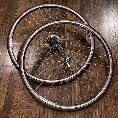 Wheels & Wheelsets - Campagnolo Proton - Nelo's Cycles