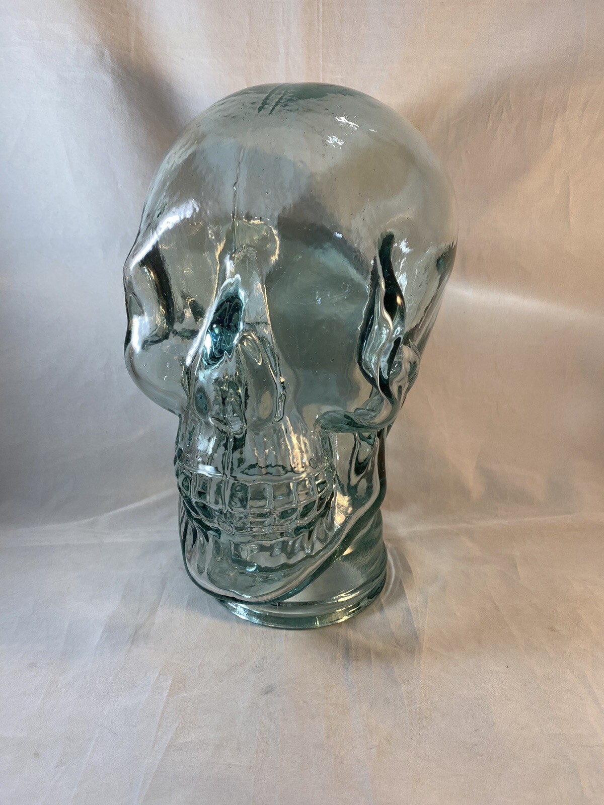 Life-size Glass Skull Mannequin Display Head Halloween Prop Decor Goth ...