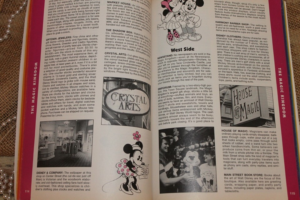 Birnbaum's Walt Disney World Official Guide - 1995 | eBay