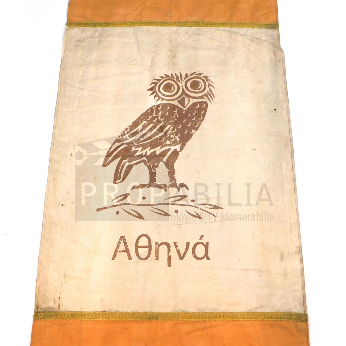 Athenas Owl Percy Jackson