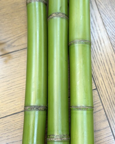 2” diameter Fresh Cut Natural Bamboo For Decor (You Choose Length) 1ft ...