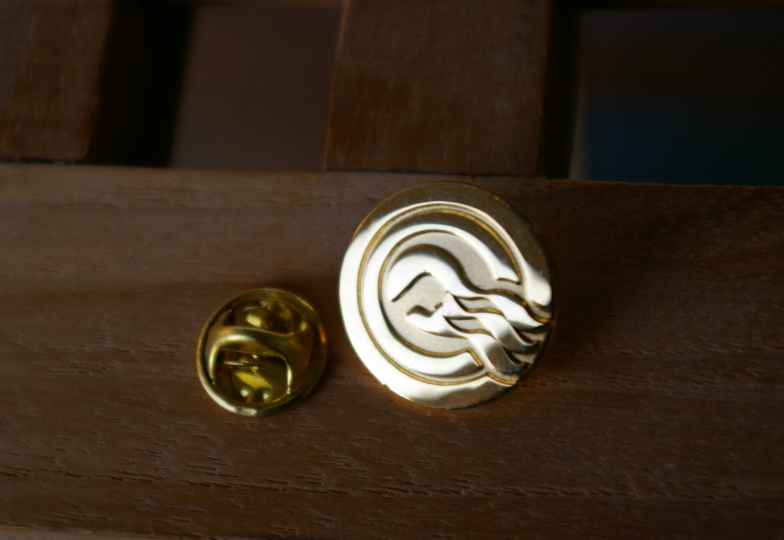 Princess Cruises Cruise Ship Captain's Circle Gold Tone Metal Lapel Pin ...