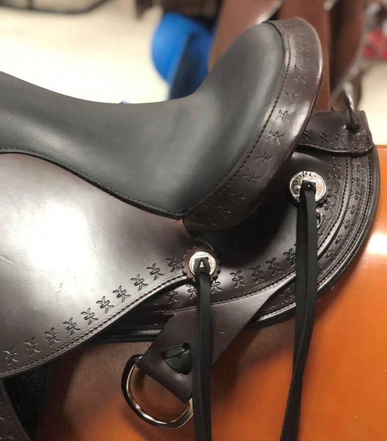 Circle Y Alabama Trail Gaiter Flex2 Saddle 16” Wide Spider Border #1581 ...