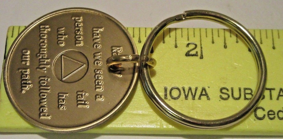 Alcoholics Anonymous AA 20 Year Keychain Key Chain Token coin medallion ...
