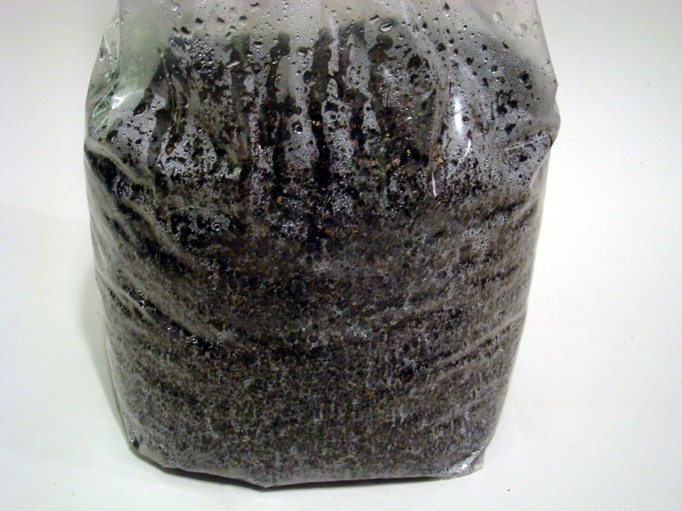 12 LBS Bulk Substrate Mushroom Grow Bag - Dung Lovers - Pasteurized | eBay