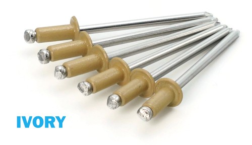 Pop Rivets 1/8" Diameter #4 Painted Stainless Steel Blind Rivets ...