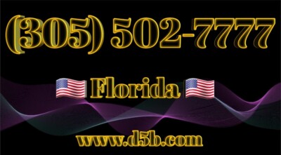 Vanity Easy Phone Number (305) 50X-7777 MIAMI 610214664761| eBay