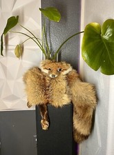 Vintage Fox Stoles products for sale | eBay