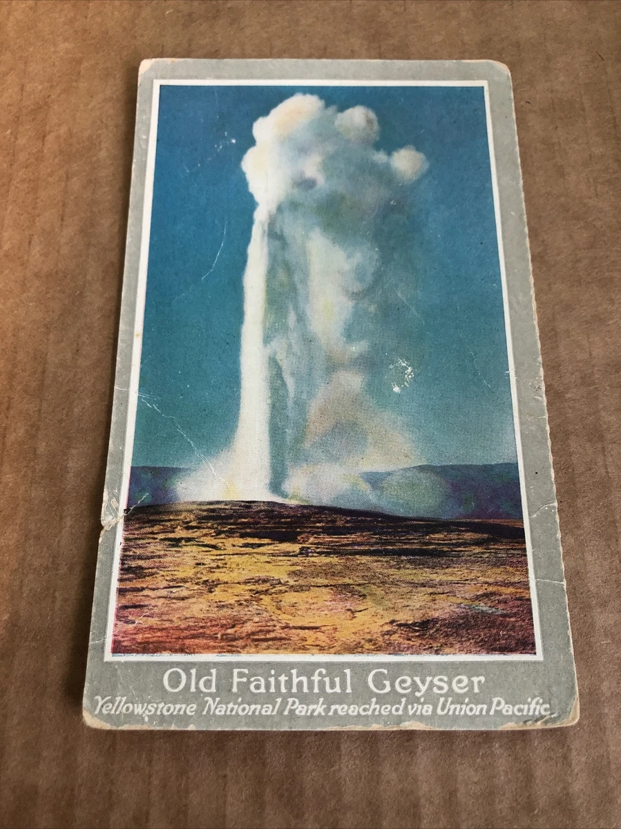 Old Faithful Postcard