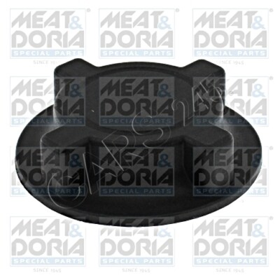 Radiator Cap For VOLVO B 12 F 10 16 77-94 1661905 | eBay