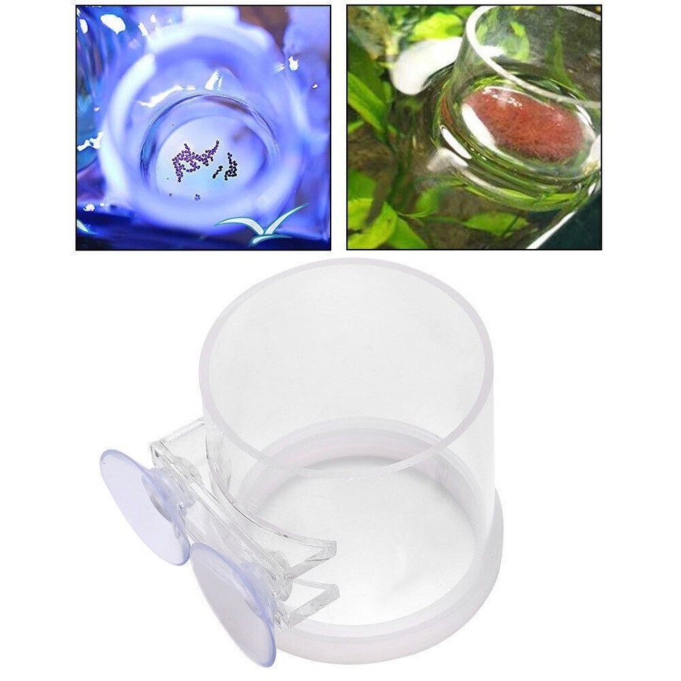 Acrylic Transparent Fish Feeding Ring Food Feeder with Suction Cup for ...