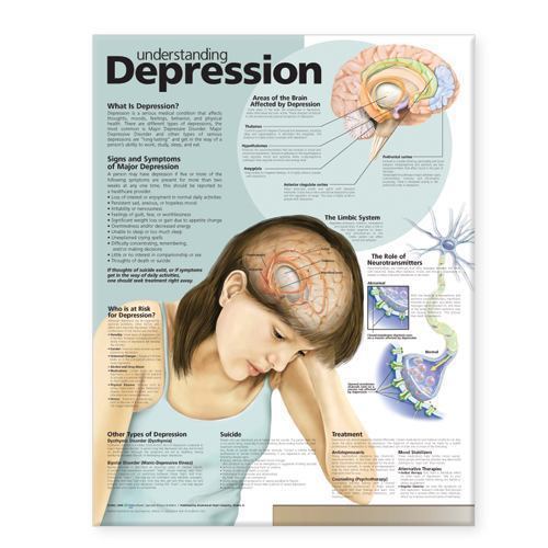 Understanding Depression Chart by Anatomical Chart Company Staff (2007 ...