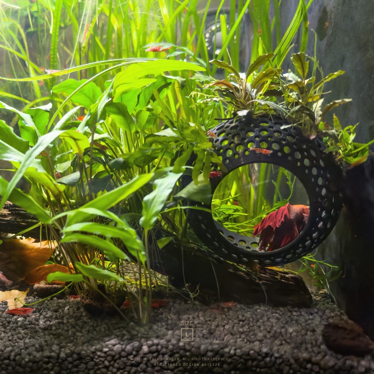 Betta Hideout Betta Fish Resting Spot & Hammock - Floating Aquarium ...