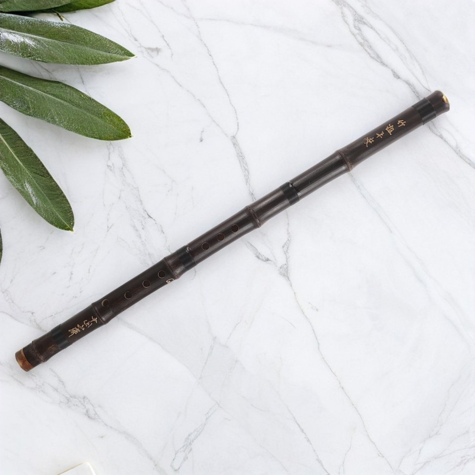 Music Recorder Player for Kid Wood Flute Instrument Kids Beginner ...