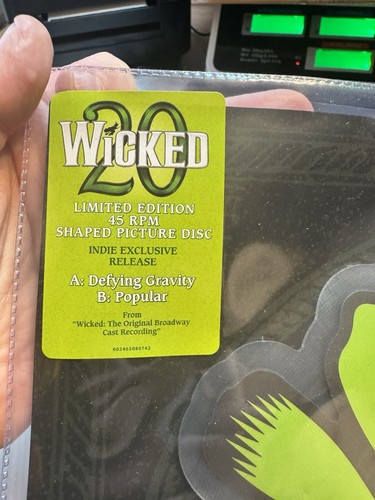 Wicked VINYL Die Cut 20th Anniversary Picture Disc - SEALED NEW | eBay