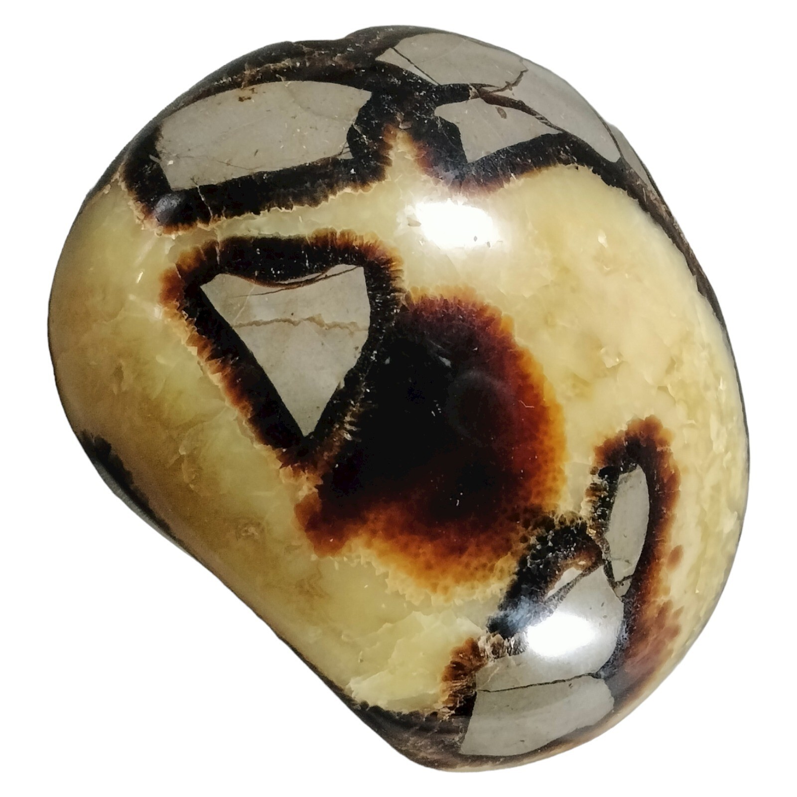 Madagascar Natural Half Dome Polished Septarian Specimen Calcite ...