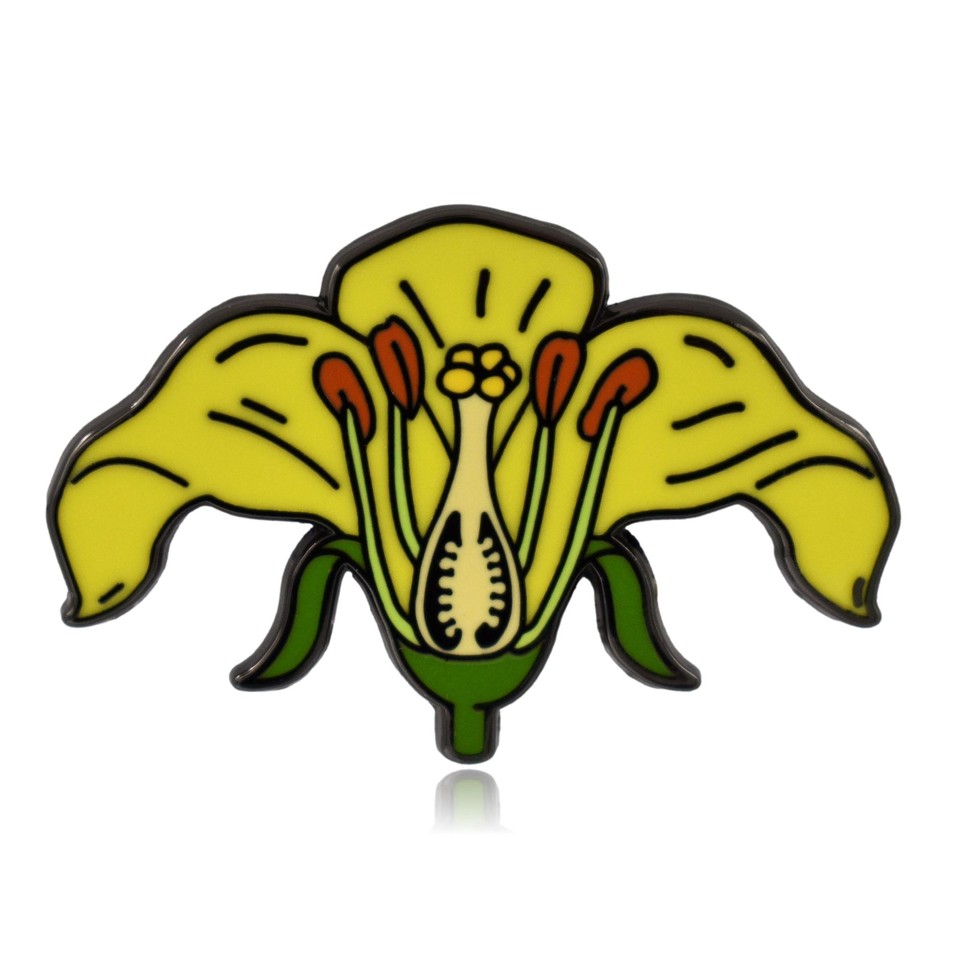 Parts of a Flower Diagram Hard Enamel Pin | eBay