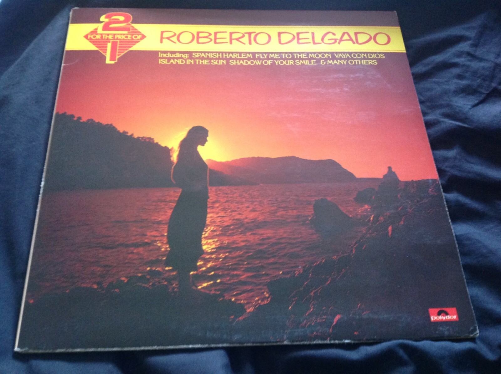 Roberto Delgado - Roberto Delgado & His Orchestra vinyl record | eBay