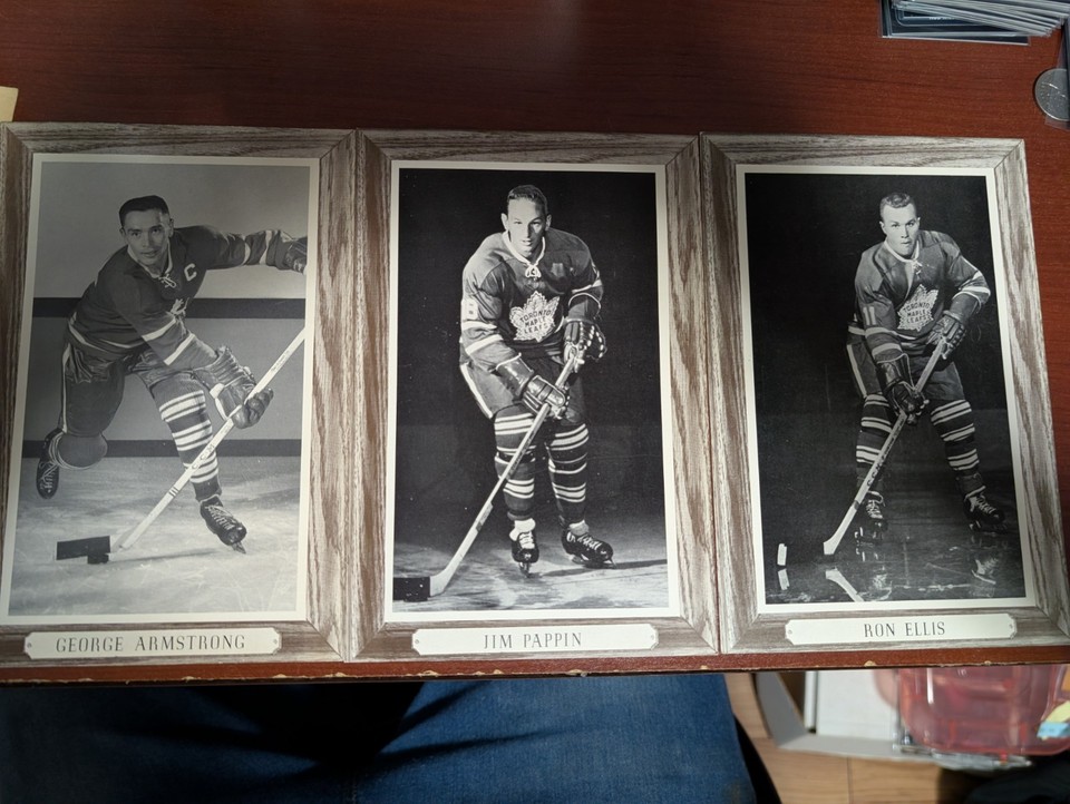 1964-67 Bee Hive Hockey Photo Lot (9) Hull Sawchuk Horton HOF 5x7 | eBay