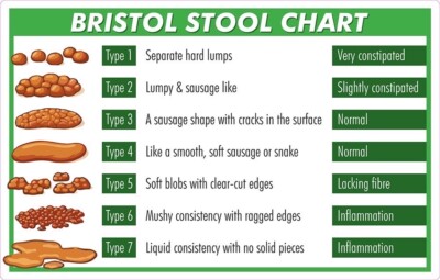 Vinyl Stickers Bristol Stool Chart medical poo fun humour nursing ...