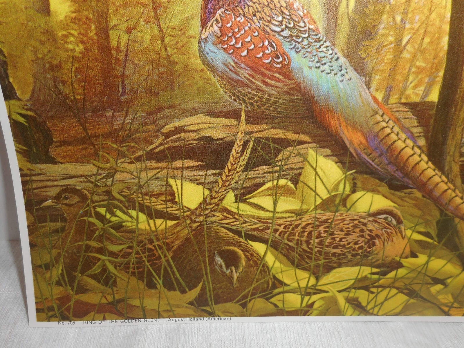 Vintage Lithograph Print By August Holland KING OF THE GOLDEN GLEN #705 ...