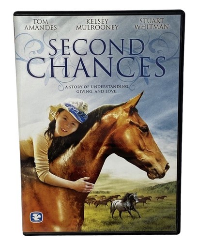 Second Chances (DVD, 2009) Family, Drama, Tom Amandes, Kelsey Mulrooney ...