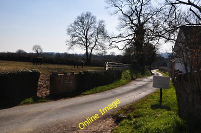 Photo 6x4 Mid Devon : Country Road Northcott/ST0912 A country road with ...