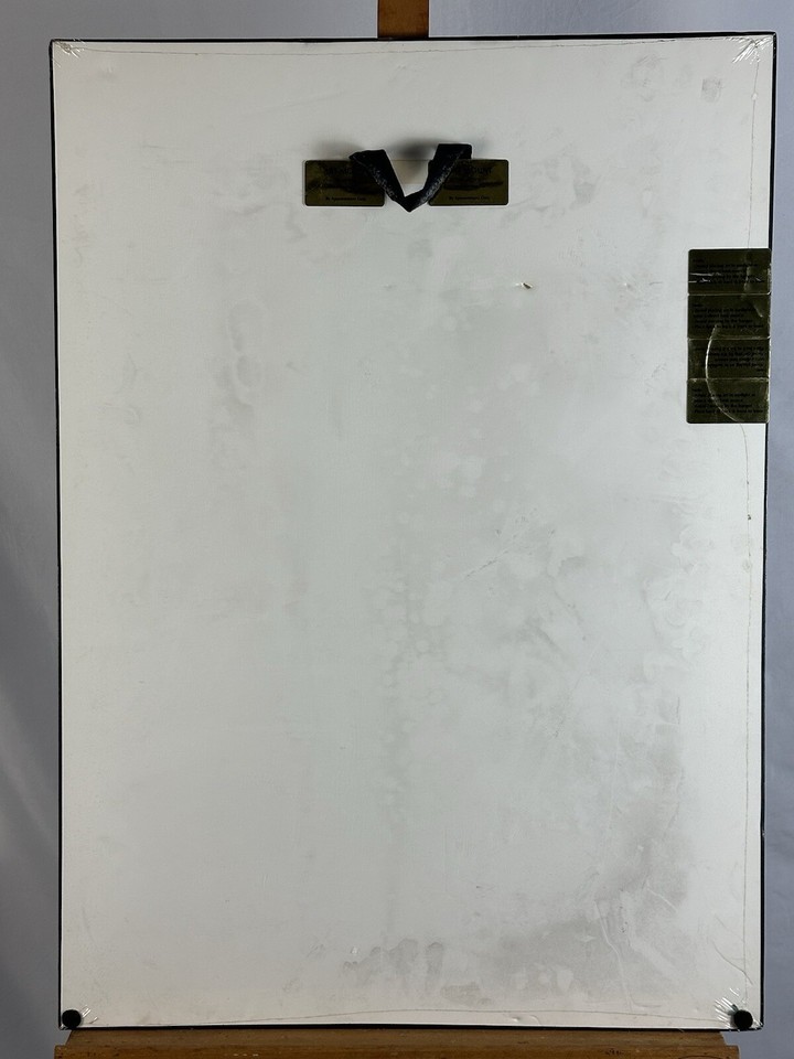 Vintage Scott Madsen Soloflex Man Original Muscle Fitness Gym Poster ...