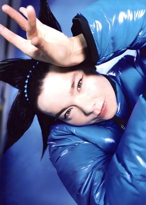 11.69x16.54 Bjork Homogenic Poster Iconic Photography #2 | eBay