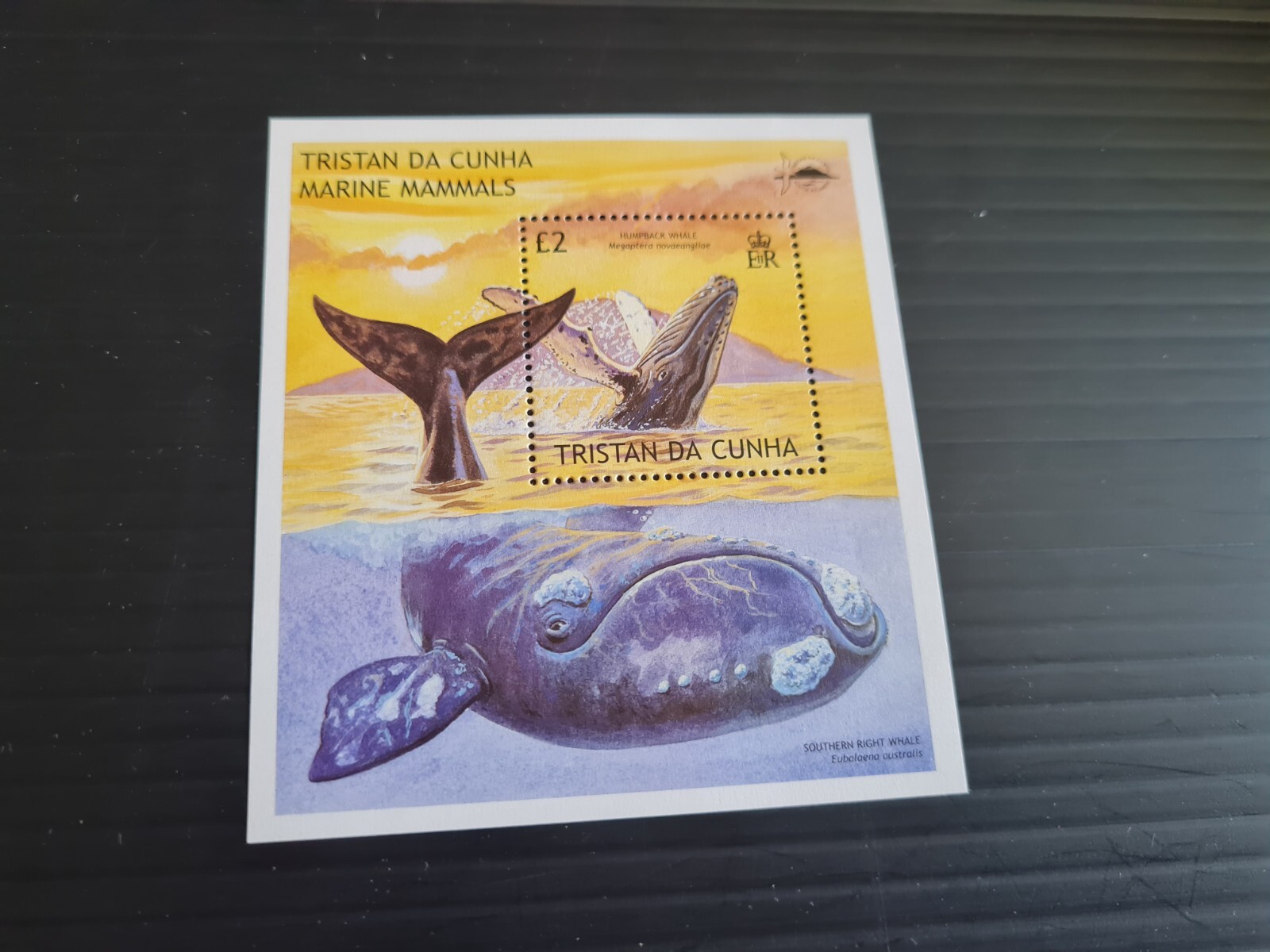TRISTAN DA CUNHA 2002 SG MS758 MARINE MAMMALS MNH | eBay
