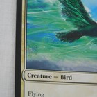 Eddytrail Hawk 2016 MTG White Creature Bird 012/264 Kaladesh Common ...