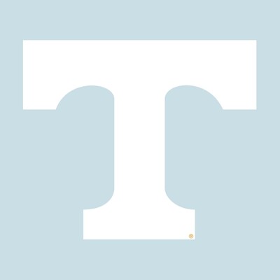 UT TENNESSEE Volunteers Large White Power T Decal | eBay