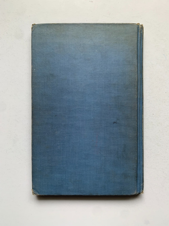 LITTLE SALLY DUTCHER by BETH PROCTOR, Fay TURPIN illustr., 1931, Jolly ...