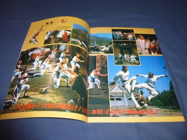 40 ShaolTemple 1982 Lee Chey Jet Li | eBay