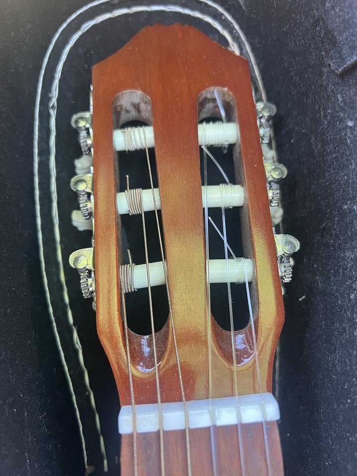 Hondo H 308 Classic Guitar with Hard Case | eBay