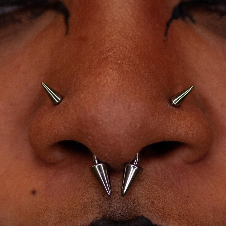 2PCS G23 Titanium Pin Taper Threadless Piercing Needles Piercings ...