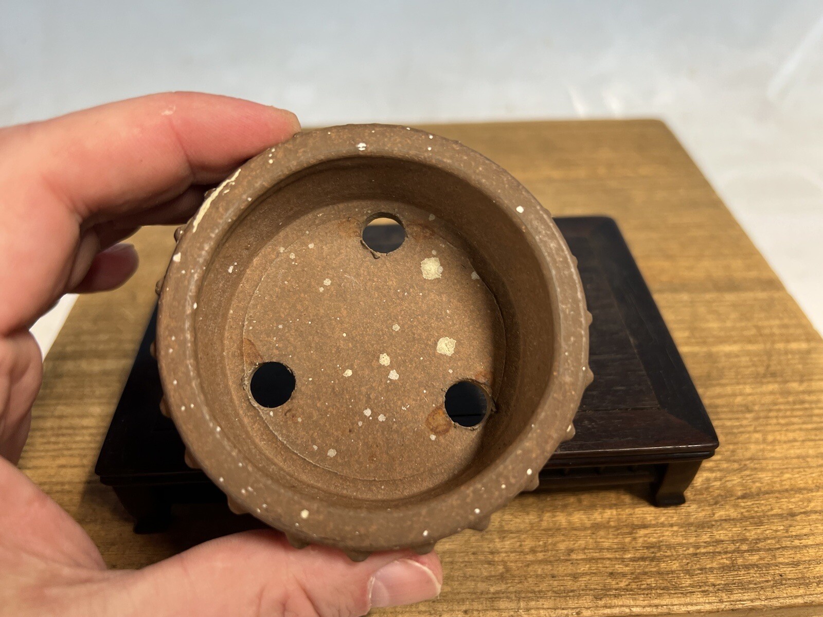 Shohin Size Drum Style Handmade Bonsai Tree Pot By Syuzan 3 1/4” | eBay