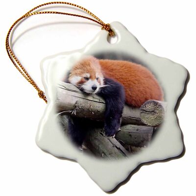 3dRose Adorable Red Panda, Sichuan Province, China 3 inch Snowflake ...