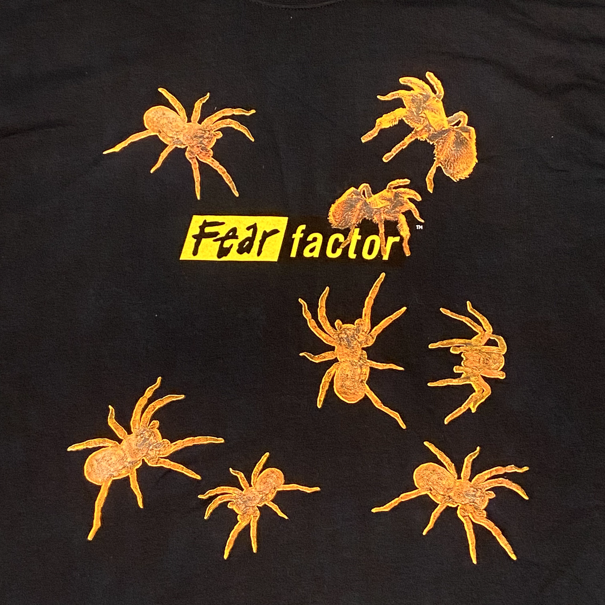 Fear Factor Spiders Spiders: Fear & Fascination | Royal Ontario Museum