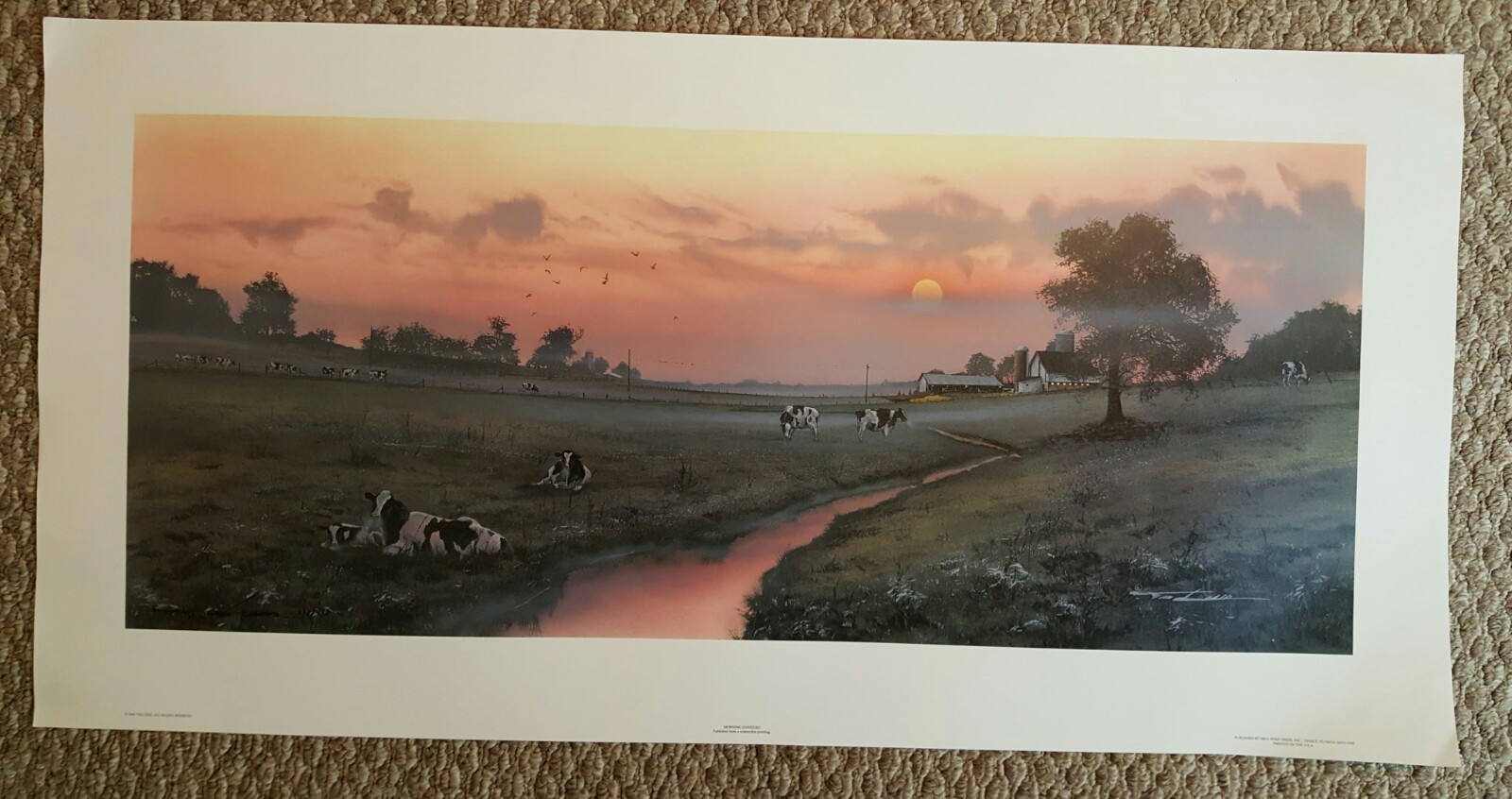 Tim Liess "Morning Unveiled" Limited Edition Print #273/450 | eBay